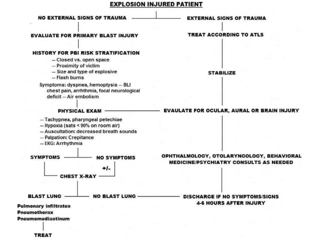 Primary Blast Injury: | PPTX | Death, Injury, or Military Conflict ...