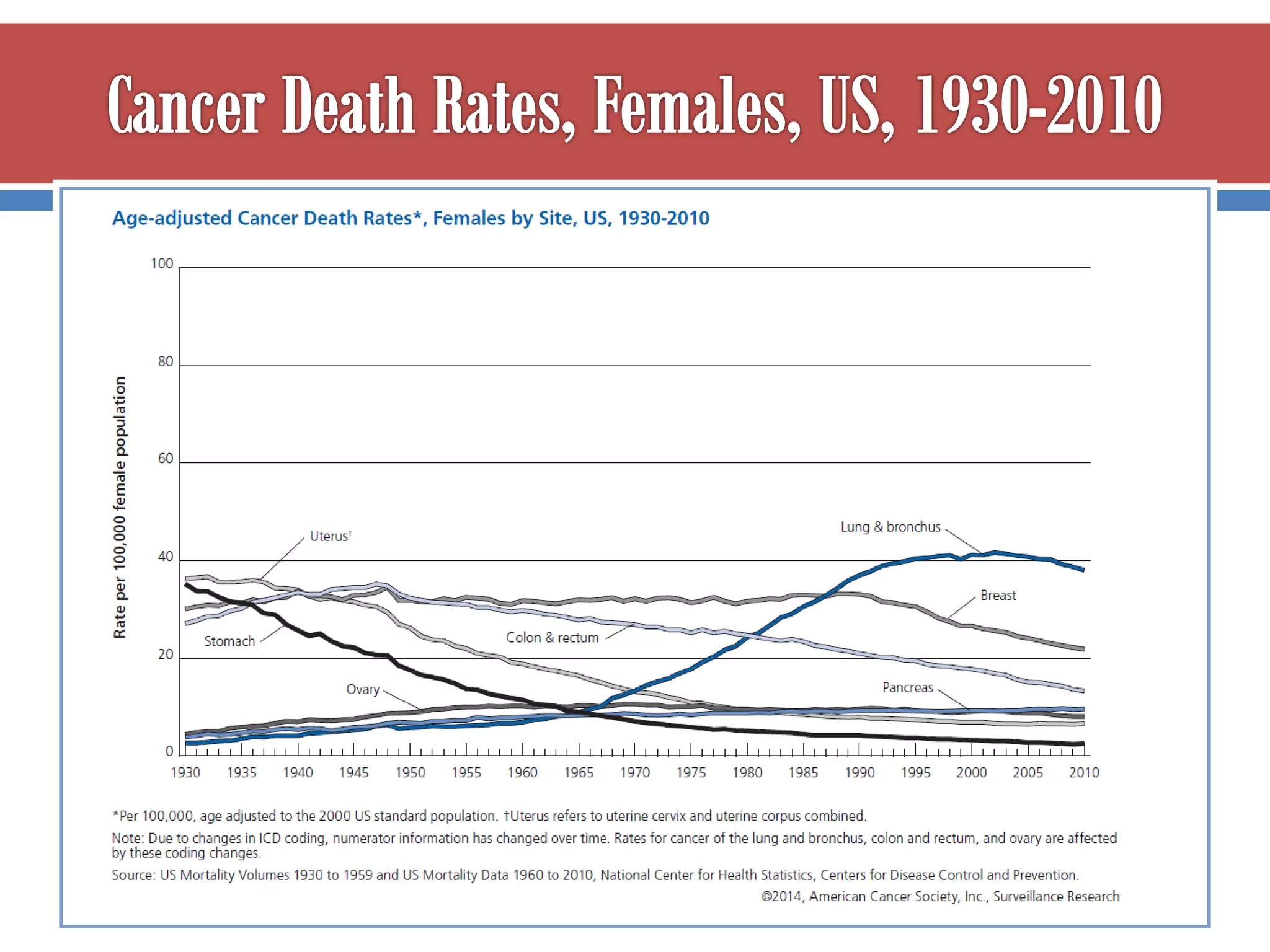 Primary care screening tests in adults geriatrics | PDF