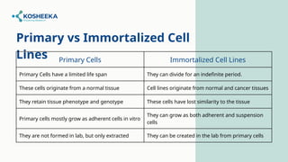 Primary Cells: The Indispensable Tools for Research and Drug ...