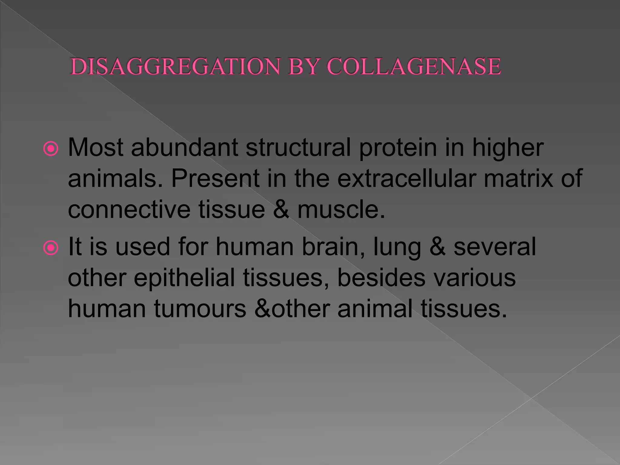 Primary cell culture | PPTX | Biological Sciences | Science