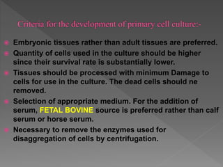 Primary cell culture | PPTX
