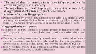 Establishment of Primary animal cell culture | PPTX