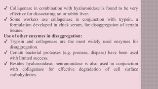 Establishment of Primary animal cell culture | PPTX