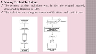 Establishment of Primary animal cell culture | PPTX