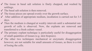 Establishment of Primary animal cell culture | PPTX