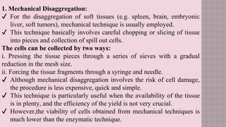 Establishment of Primary animal cell culture | PPTX