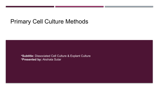 Primary cell culture by using dissociated cells and explant culture method | PPT