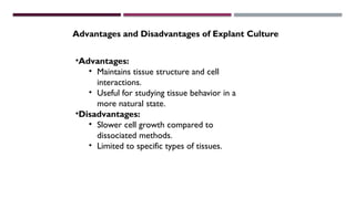 Primary cell culture by using dissociated cells and explant culture ...
