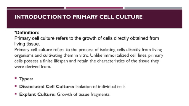 Primary cell culture by using dissociated cells and explant culture ...