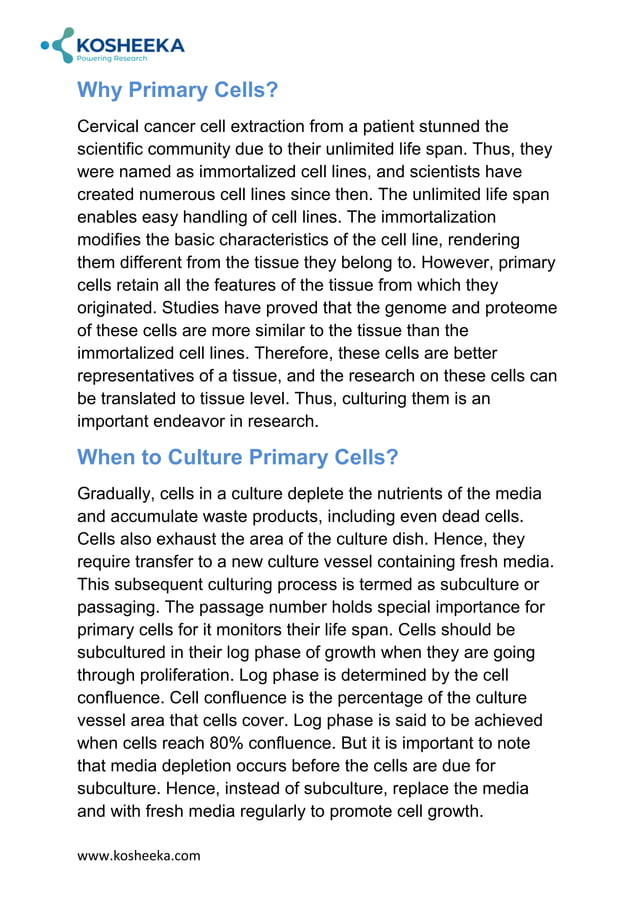 Primary Cell Culture: What, Why, and How? | PDF
