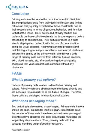 Primary Cell Culture: What, Why, and How? | PDF