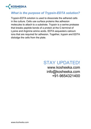 Primary Cell Culture: What, Why, and How? | PDF