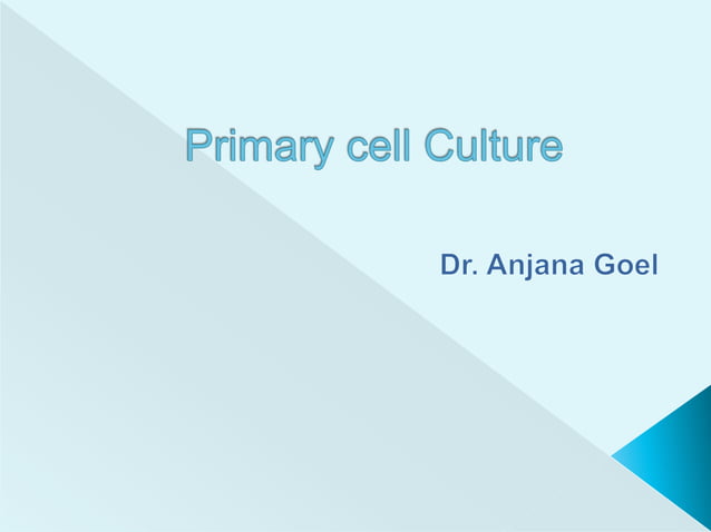 Primary cell culture anjana.pptx