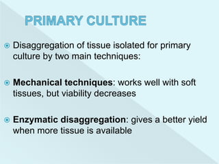 Primary cell culture anjana.pptx