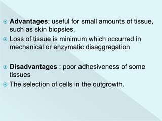 Primary cell culture anjana.pptx