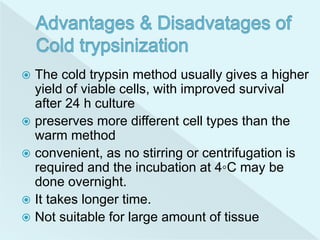 Primary cell culture anjana.pptx