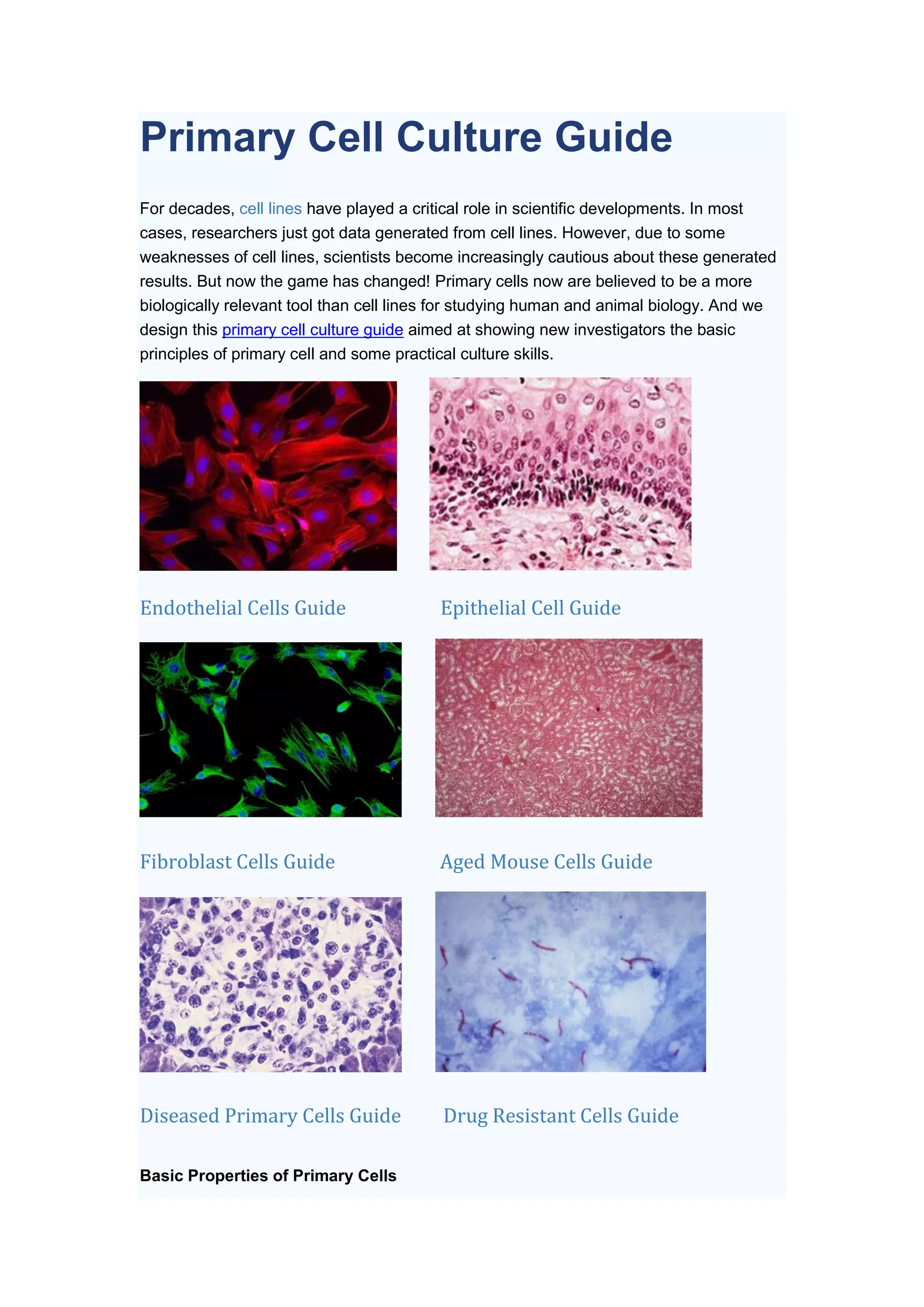 Primary cell culture guide | PDF