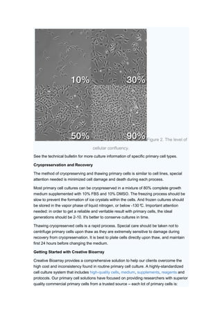 Primary cell culture guide | PDF