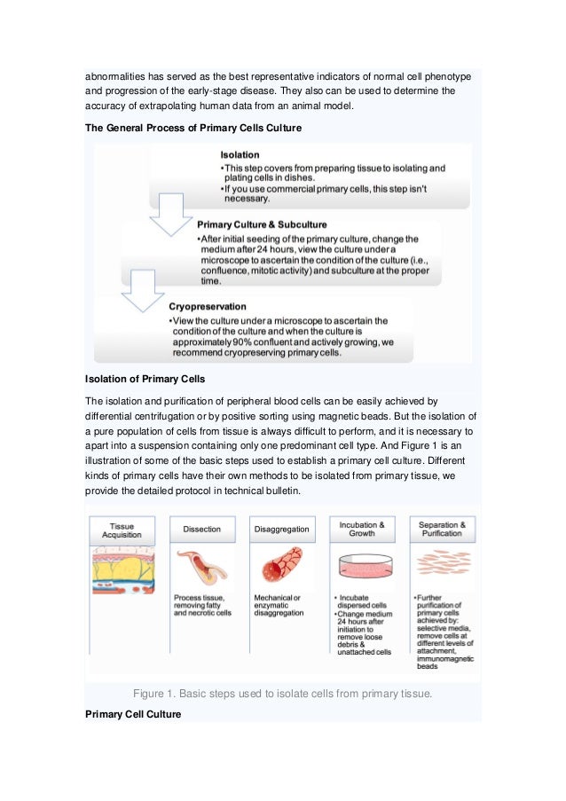 Primary cell culture guide