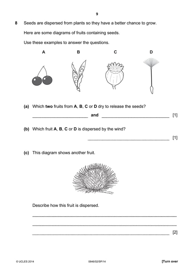 Primary checkpoint science (0846) specimen 2014 (paper 2) | PDF ...