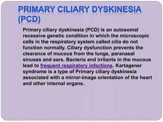 Primary ciliary dyskinesia (pcd) | PPTX