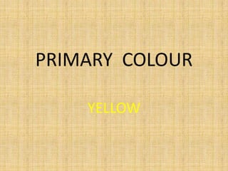 Primary colour yellow | PPT