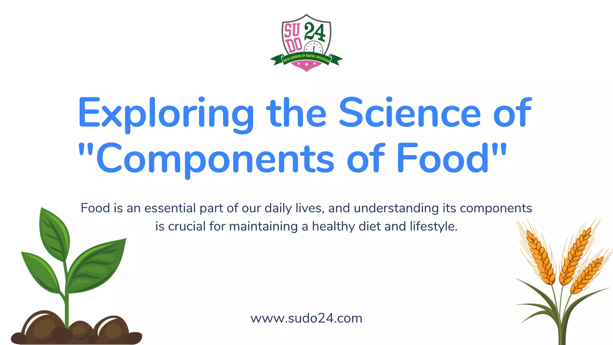 Primary Components of Food.pdf