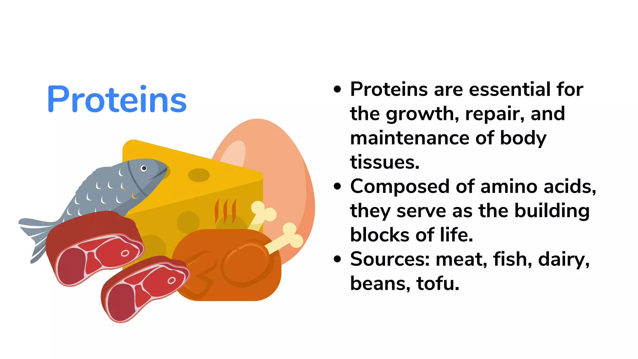 Primary Components of Food.pdf