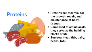 Primary Components of Food.pdf