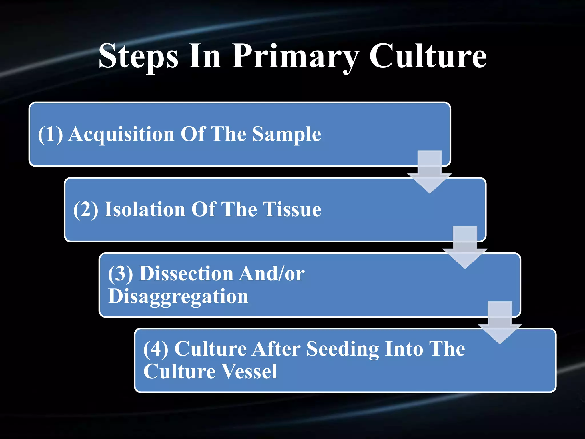 Primary culture and cell line | PPTX