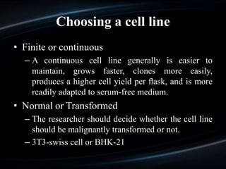 Primary culture and cell line | PPTX