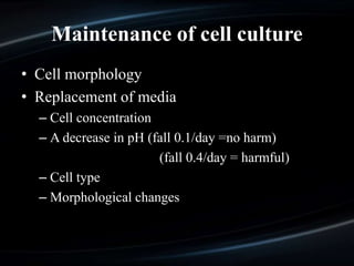 Primary culture and cell line | PPTX