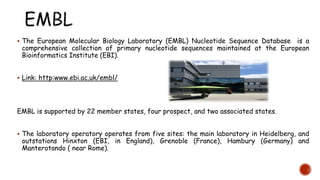 Primary Databases.pptx