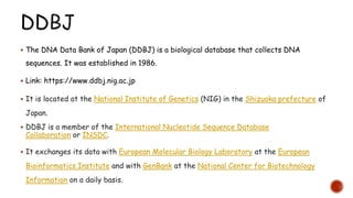Primary Databases.pptx