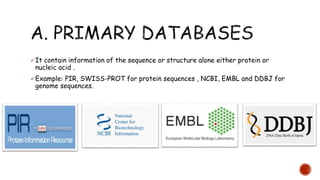 Primary Databases.pptx
