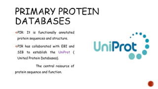 Primary Databases.pptx