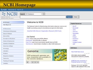 Primary databases ncbi | PPT