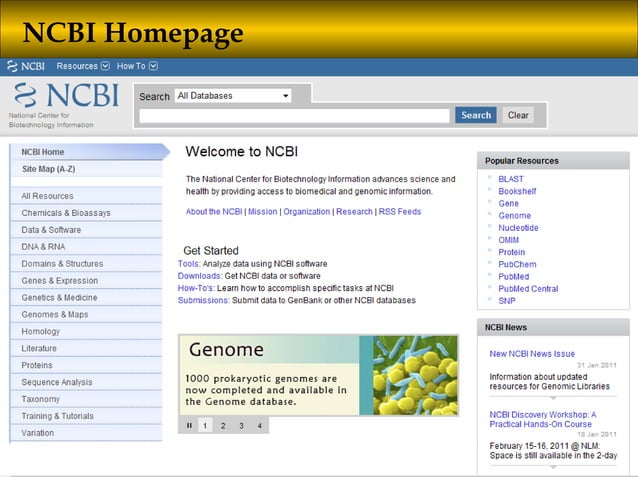 Primary databases ncbi | PPT