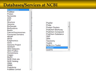 Primary databases ncbi | PPT
