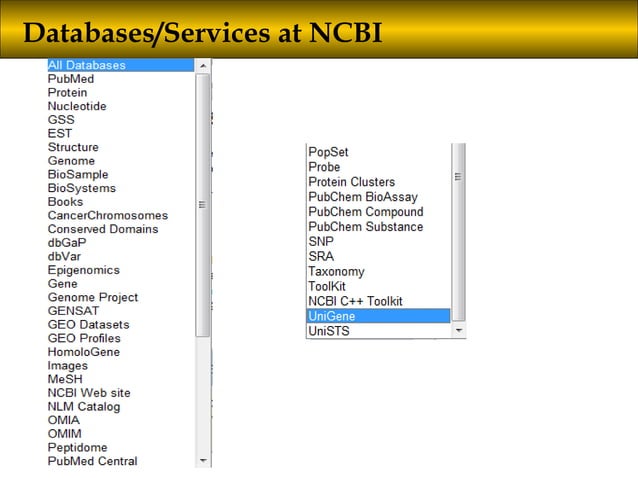 Primary databases ncbi | PPT