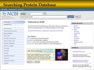 Primary databases ncbi | PPT