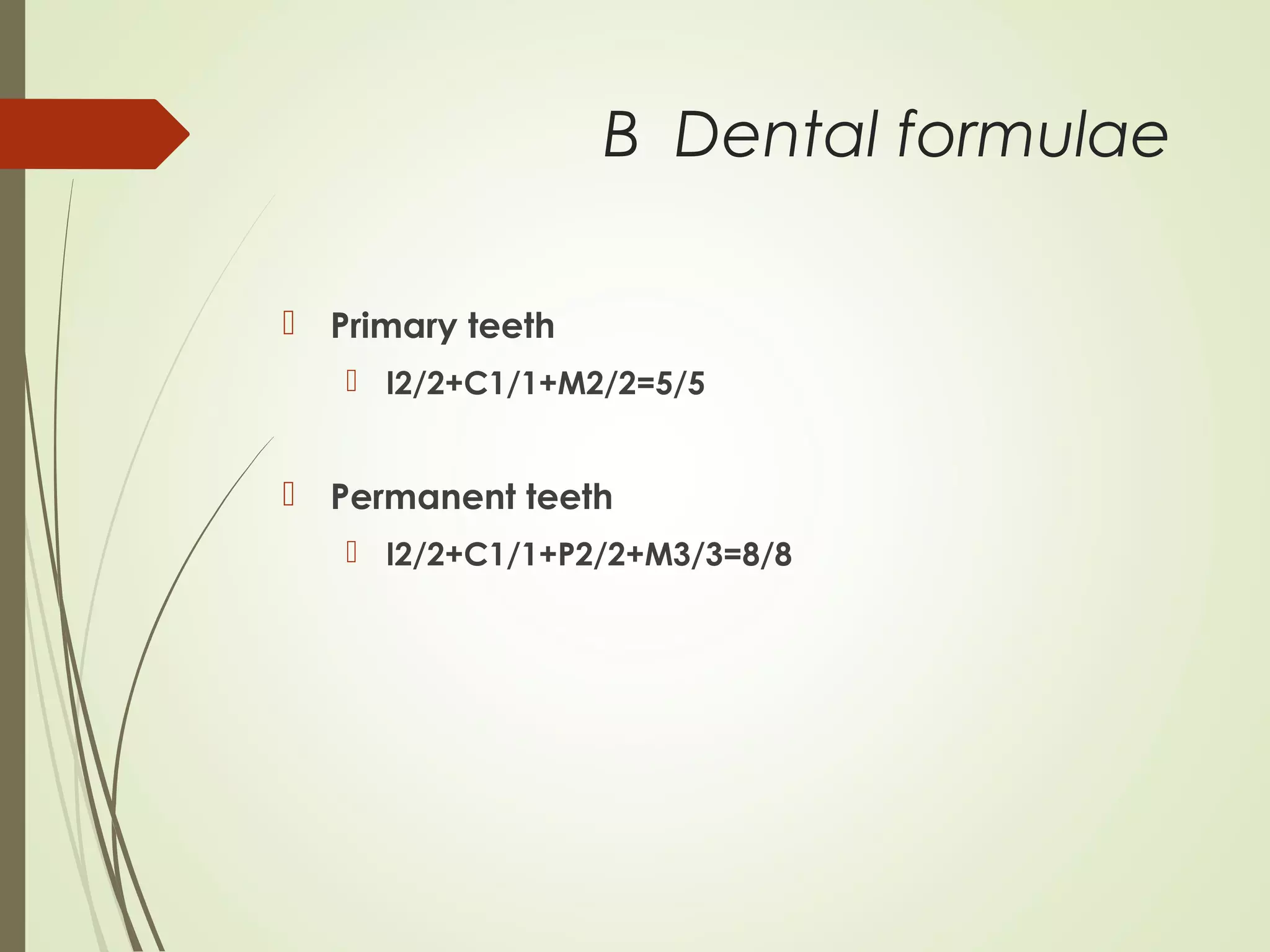 Primary Dentition | PPT