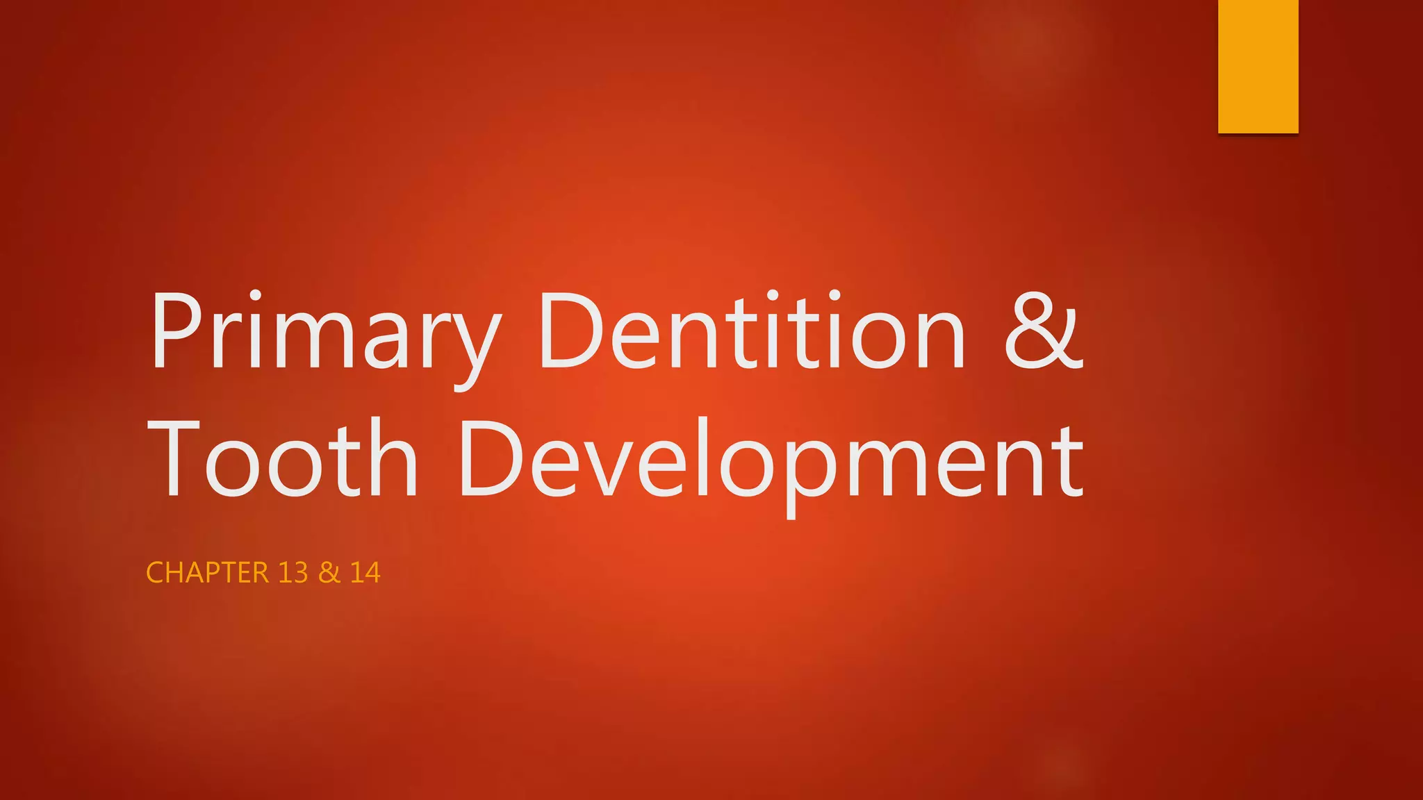 Primary Dentition and Tooth Development | PPTX