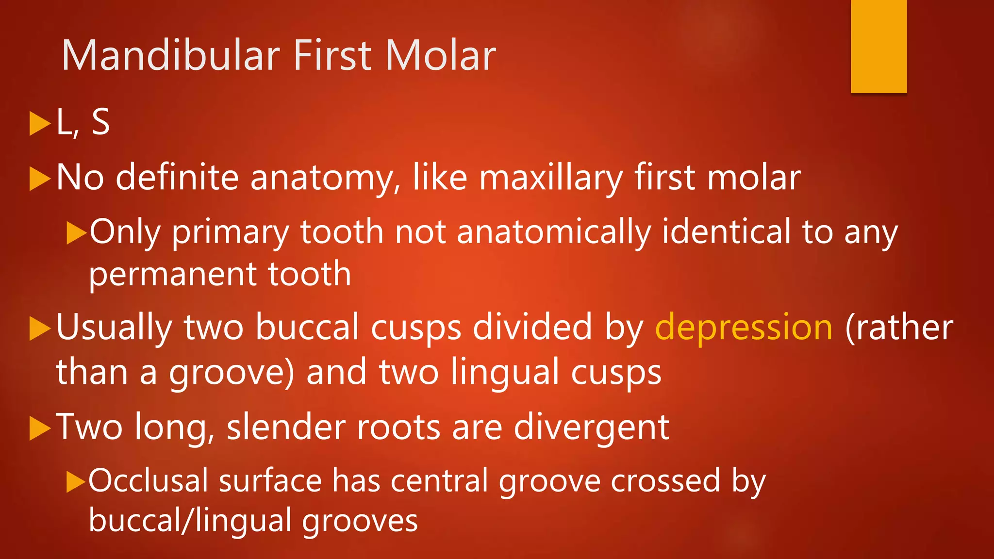 Primary Dentition and Tooth Development | PPTX