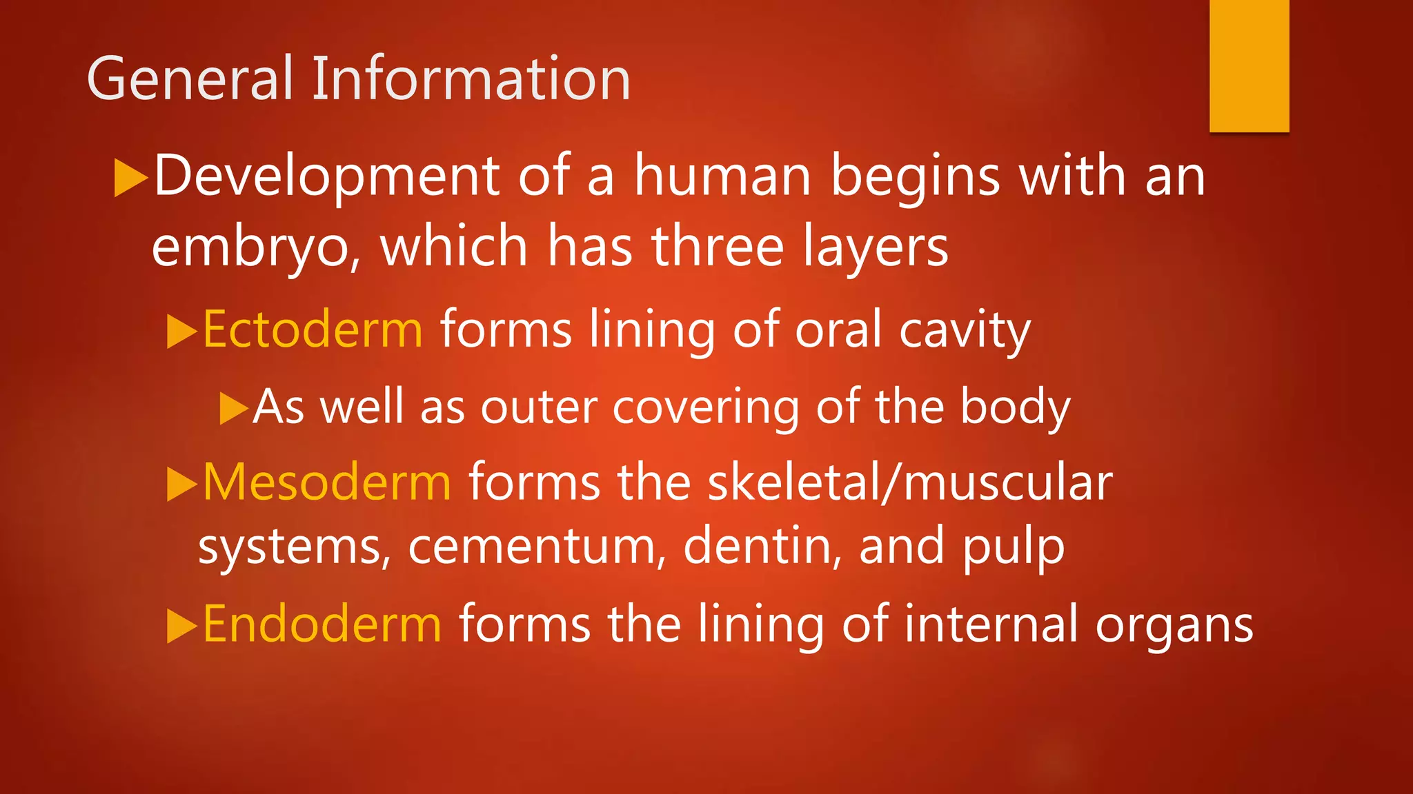 Primary Dentition and Tooth Development | PPTX