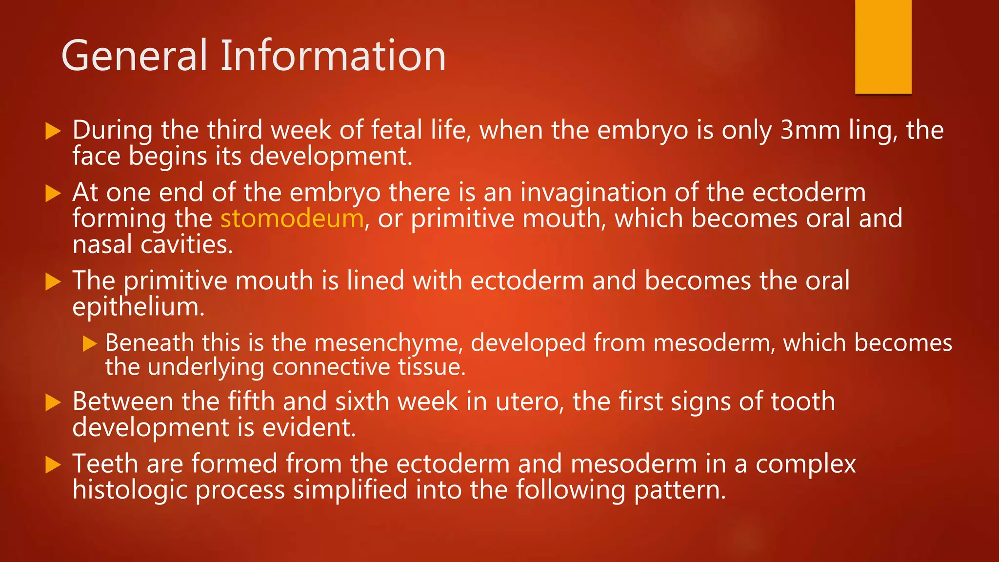Primary Dentition and Tooth Development | PPTX