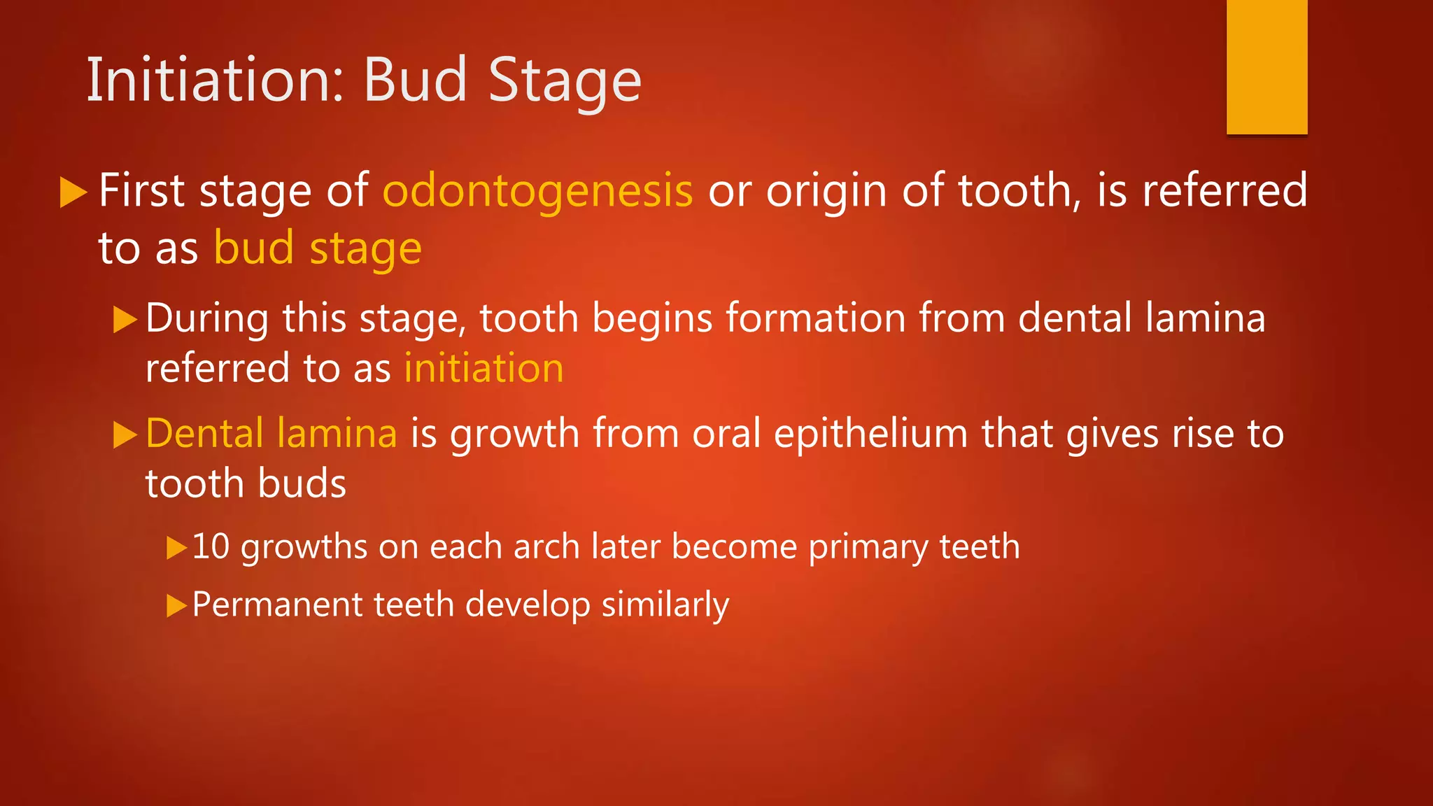 Primary Dentition and Tooth Development | PPTX