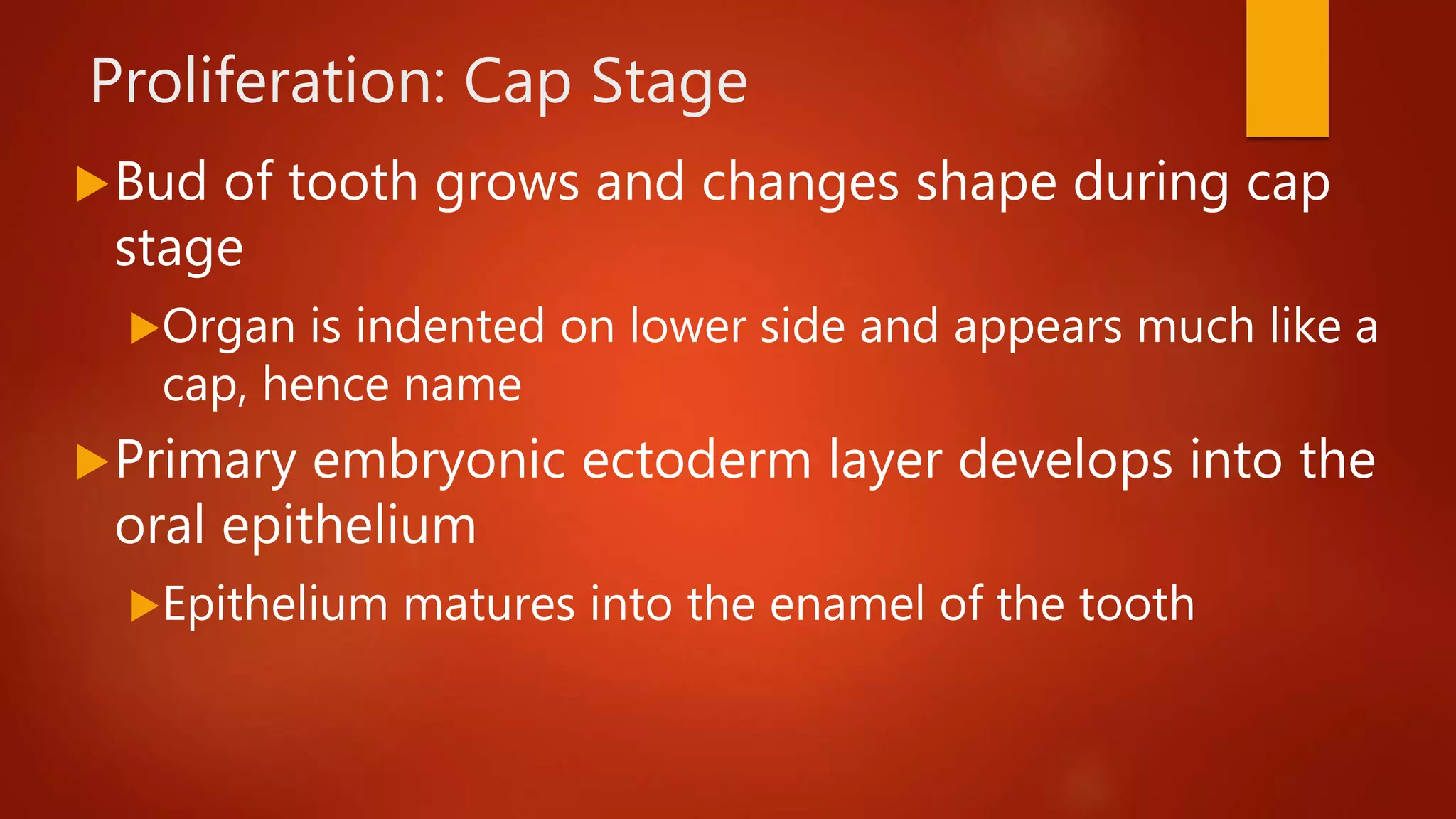 Primary Dentition and Tooth Development | PPTX
