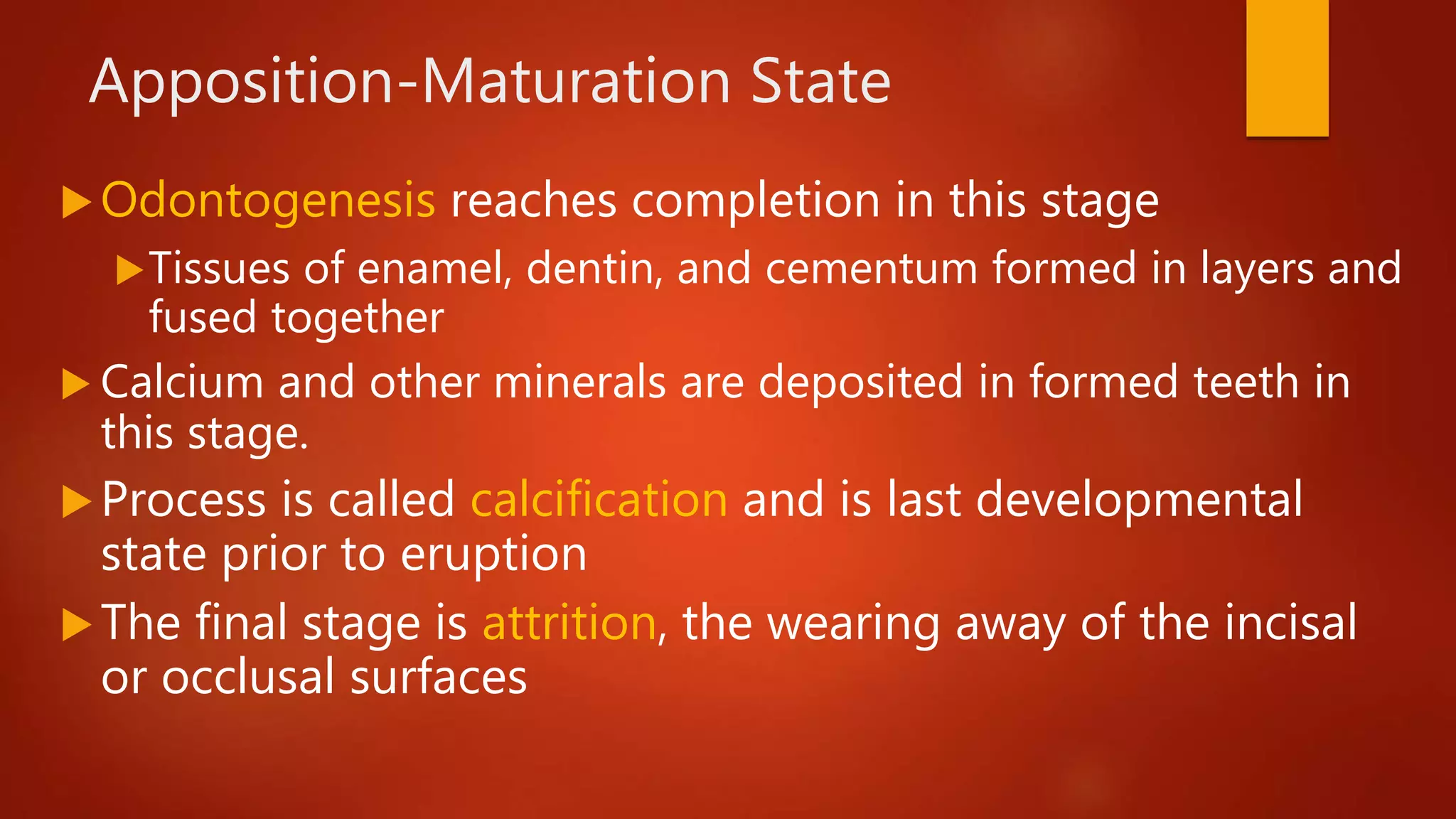 Primary Dentition and Tooth Development | PPTX
