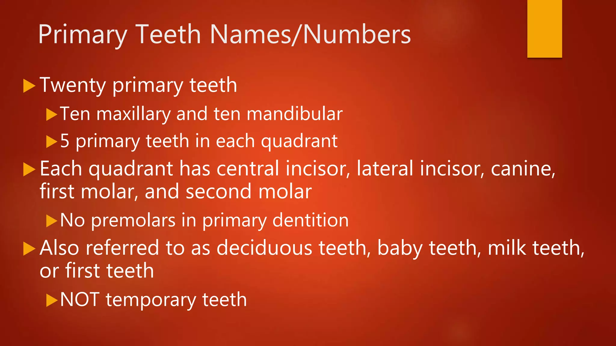 Primary Dentition and Tooth Development | PPTX